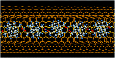 One-dimensional hydrogen bonding networks of bis-hydroxylated ...