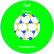 Surfaces and morphologies of covellite (CuS) nanoparticles by means of ...