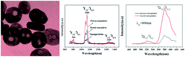 Formation mechanism and morphology-dependent luminescence of NdF3 ...
