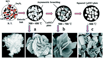 Growth of well-developed LaOCl microplates by chloride salt-assisted ...