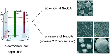 Shape-, size-, and density-tunable synthesis and optical properties of ...