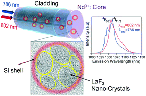 Oxyfluoride glass–ceramic fibers doped with Nd3+: structural and ...