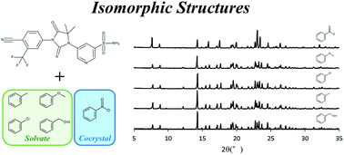 Cocrystal structure design for CH5134731 based on isomorphism ...