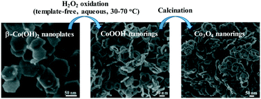 Template-free synthesis of Co3O4 nanorings and their catalytic ...