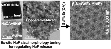 Facile ex situ NaF size/morphology tuning strategy for highly ...