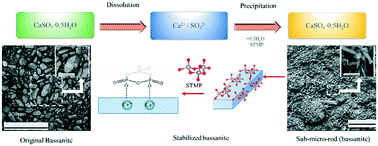 Retardation behavior of hydration of calcium sulfate hemihydrate ...