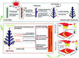 Controllable synthesis, formation mechanism, and enhanced microwave ...