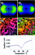 A nematic to nematic transformation exhibited by a rod-like liquid ...