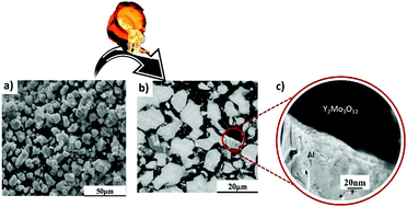 Thermal mismatch strain induced disorder of Y2Mo3O12 and its effect on ...