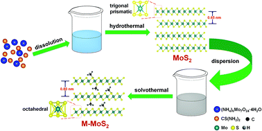 Methyl-functionalized MoS2 nanosheets with reduced lattice breathing ...