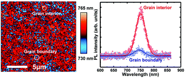 A deconvoluted PL approach to probe the charge carrier dynamics of the ...