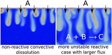 Enhanced steady-state dissolution flux in reactive convective ...