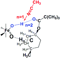 Computational analysis of site differences in selective aliphatic C–H ...