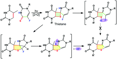 A theoretical study of the light-induced cross-linking reaction of 5 ...