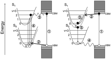Photoluminescence from vibrational excited-states for organic molecules ...