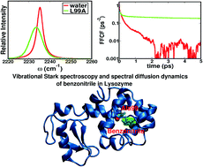 Vibrational Stark spectroscopy for assessing ligand-binding strengths ...