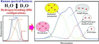 Understanding water structure from Raman spectra of isotopic ...