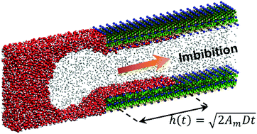 Surface hydration drives rapid water imbibition into strongly ...