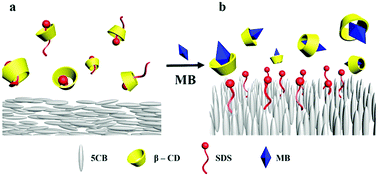 Molecular dynamics investigations of an indicator displacement assay ...
