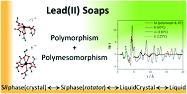 Lead(ii) soaps: crystal structures, polymorphism, and solid and liquid ...