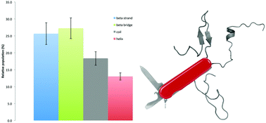 The transient manifold structure of the p53 extreme C-terminal domain ...