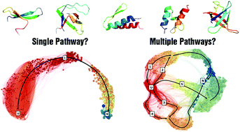 Toward a quantitative description of microscopic pathway heterogeneity ...