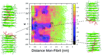 An adaptive bias – hybrid MD/kMC algorithm for protein folding and ...