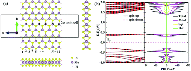 Transition-metal doping induces the transition of electronic and ...