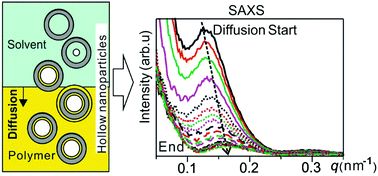 Solvent diffusion in polymer-embedded hollow nanoparticles studied by ...