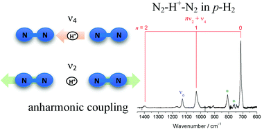 Infrared spectra and anharmonic coupling of proton-bound nitrogen ...