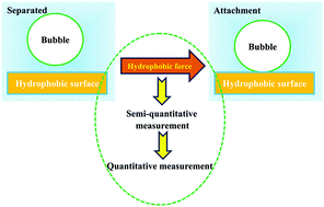 The hydrophobic force for bubble–particle attachment in flotation – a ...