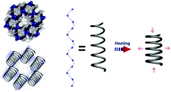 Spring-like motion caused large anisotropic thermal expansion in ...