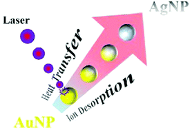 Silver–gold alloy nanoparticles as tunable substrates for systematic ...