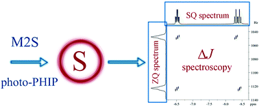 Coherent evolution of singlet spin states in PHOTO-PHIP and M2S ...