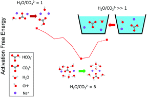 The catalytic effect of H2O on the hydrolysis of CO32− in hydrated ...