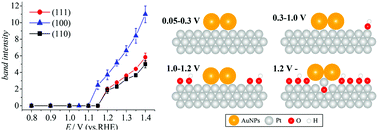 In situ observation of Pt oxides on the low index planes of Pt using ...