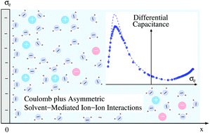 Differential capacitance of an electric double layer with asymmetric ...