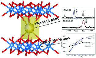 Combined use of EPR and 23Na MAS NMR spectroscopy for assessing the ...