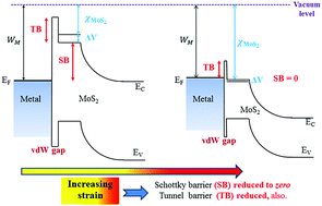 A new insight for ohmic contacts to MoS2: by tuning MoS2 affinity ...