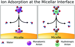 Ion dehydration controls adsorption at the micellar interface ...