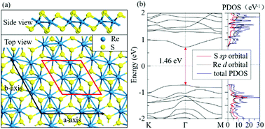A study on the electronic and interfacial structures of monolayer ReS2 ...