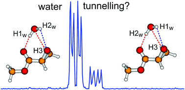 Rotational spectroscopy of the methyl glycidate–water complex ...