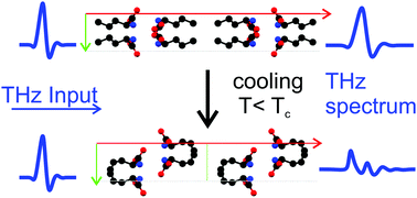 Exploring the solid state phase transition in dl-norvaline with ...