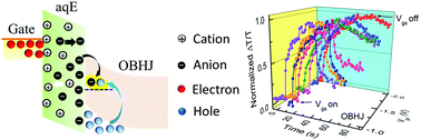 In situ probing electronic dynamics at organic bulk heterojunction ...