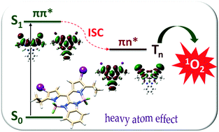 Excitation energies, singlet–triplet energy gaps, spin–orbit matrix ...