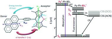 Energy transfer and charge separation dynamics in photoexcited pyrene ...