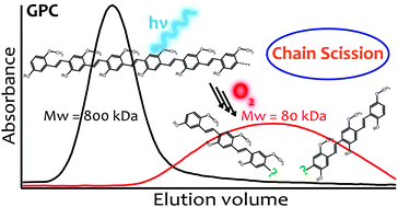 Light and oxygen induce chain scission of conjugated polymers in ...