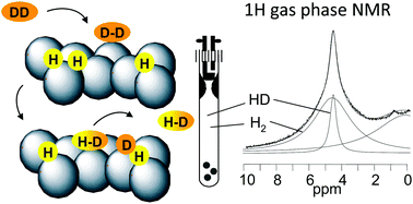 Gas phase 1H NMR studies and kinetic modeling of dihydrogen isotope ...