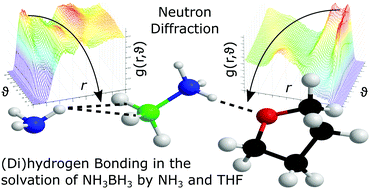 Dihydrogen vs. hydrogen bonding in the solvation of ammonia borane by ...