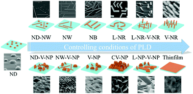 Morphology-controlled epitaxial vanadium dioxide low-dimensional ...